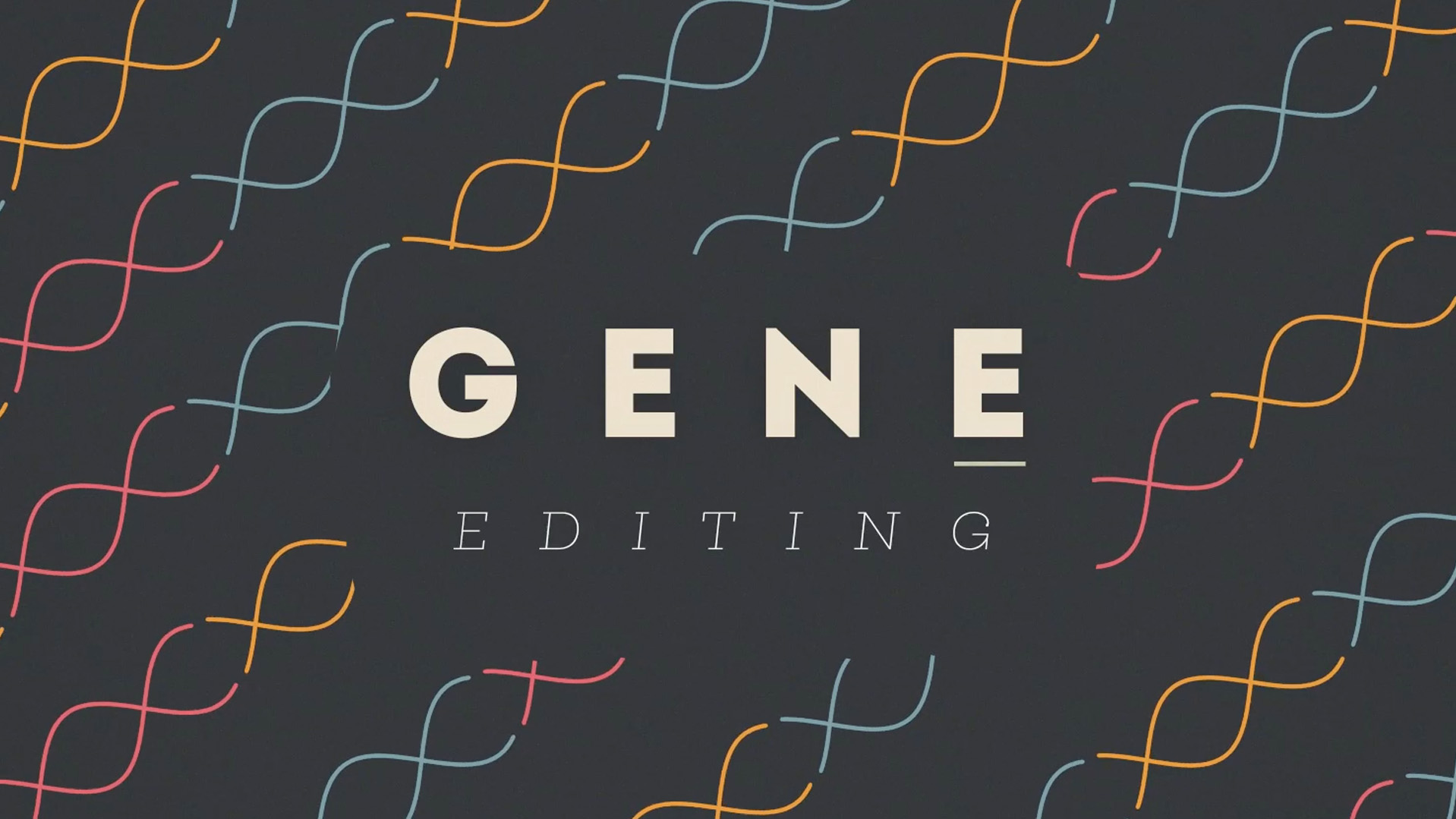 Nigel Coan & Ivana Zorn – Animation, Motion, Film & Compositing